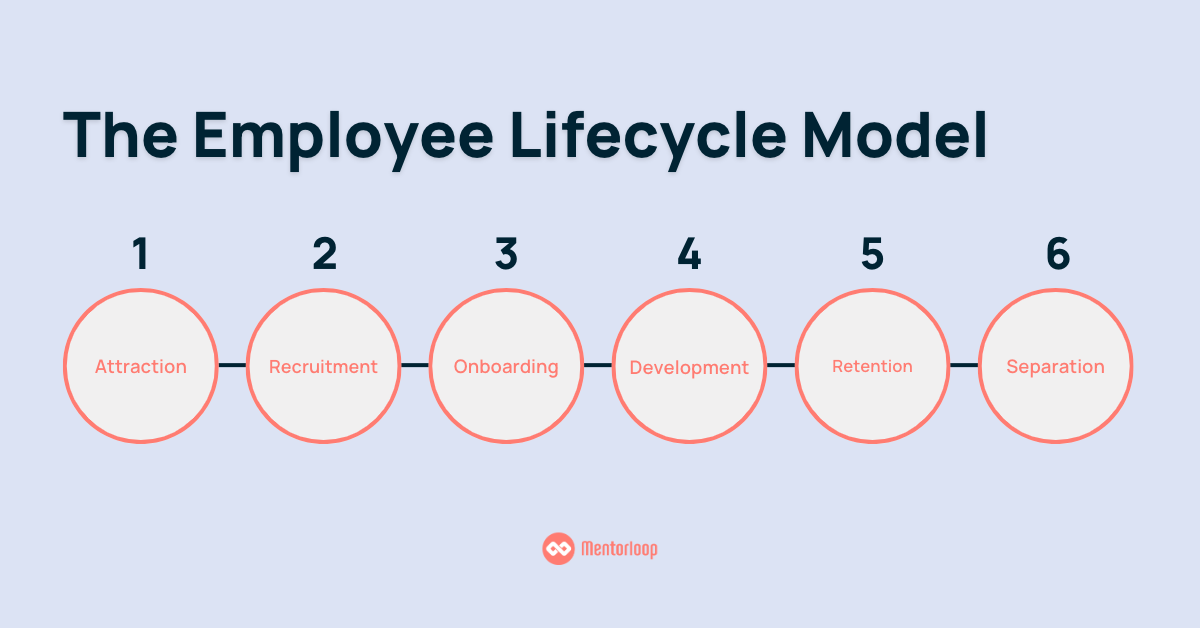 Mentoring for the 6 Stages of the Employee Lifecycle Mentoring for the 6 Stages of the Employee Lifecycle