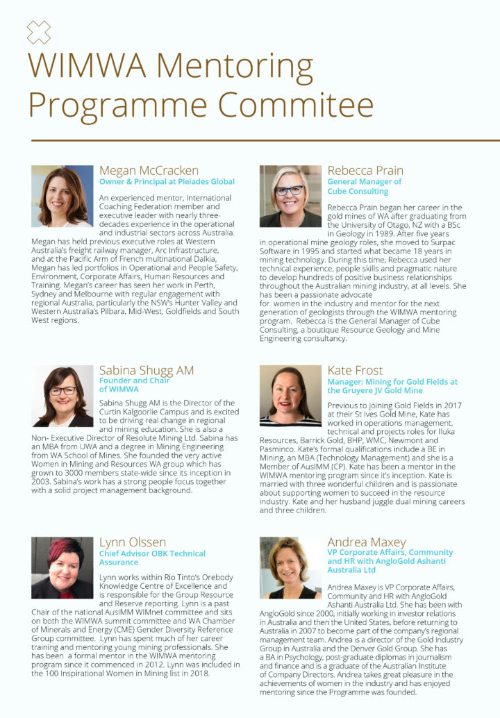 Examples Of Industry Association Mentoring Programs